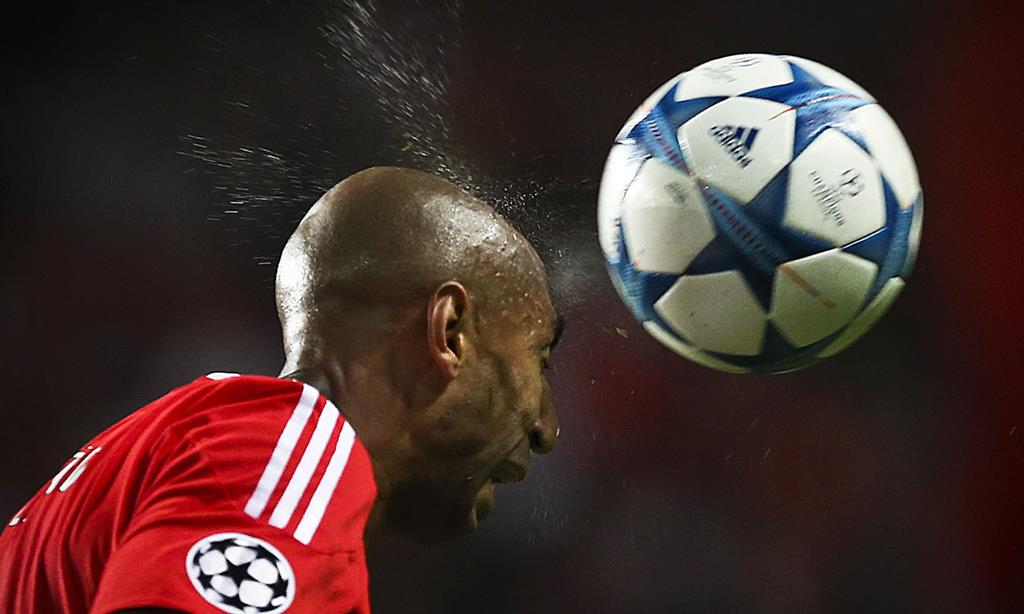 Luisão vai outra vez à faca - Renascença